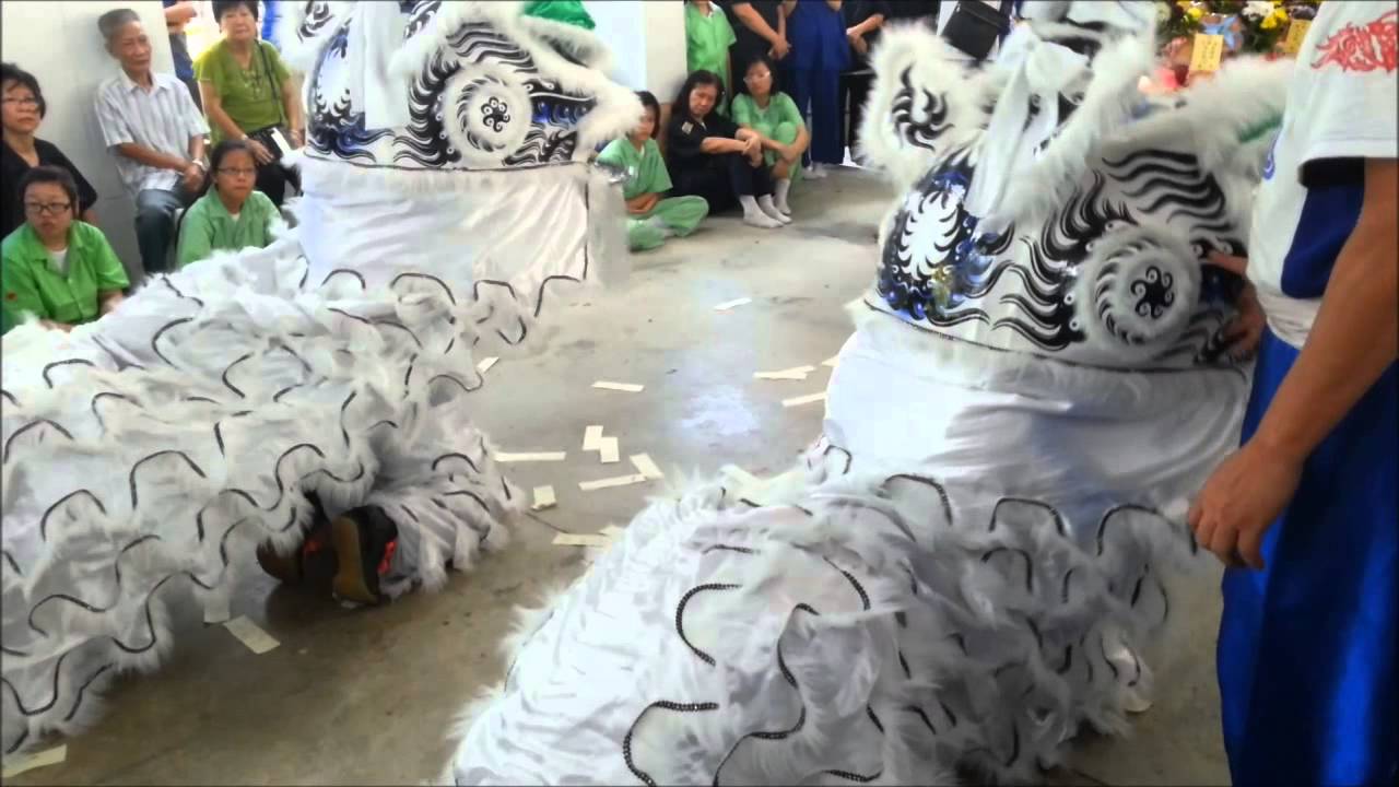 Funeral Lions - YouTube