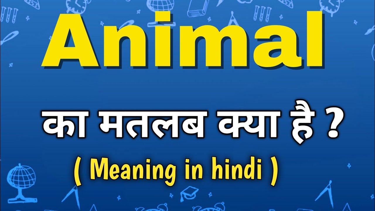 Animal ka matalab kya hota hai || Animal meaning in english || spoken ...