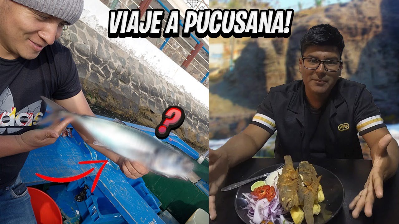 PESCANDO EN BOTE P.ROCAS Y #PUCUSANA #CABRILLAS Y #FUREL DEL MAR AL ...