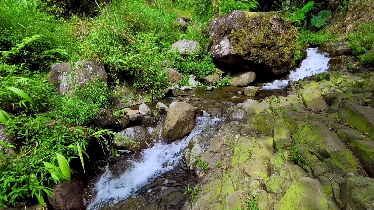 Gentle River Water Sounds for Sleep. Peaceful Flowing Stream and Nature ...