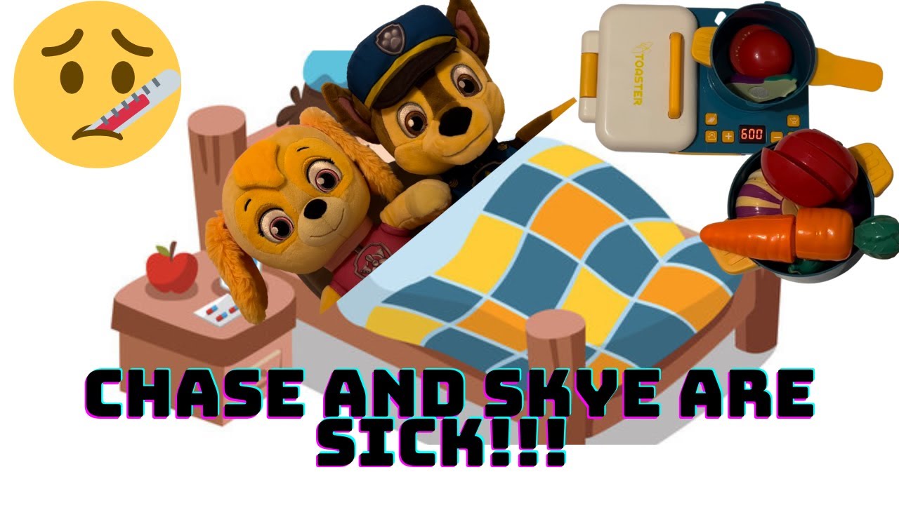 Baby Chase and Baby Skye are sick: Time to Make Soup! - YouTube