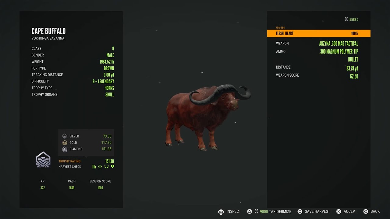 (Diamond Cape Buffalo!) theHunter: Call of the Wild - YouTube