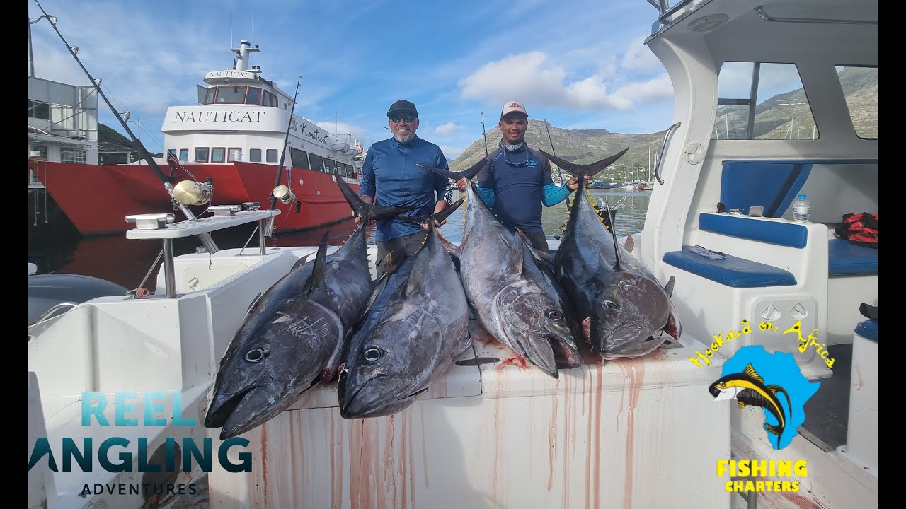 Deep sea fishing | Yellow Tail & Tuna Fishing - YouTube