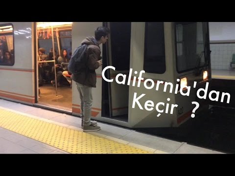 PRANK - California'dan keçir ?