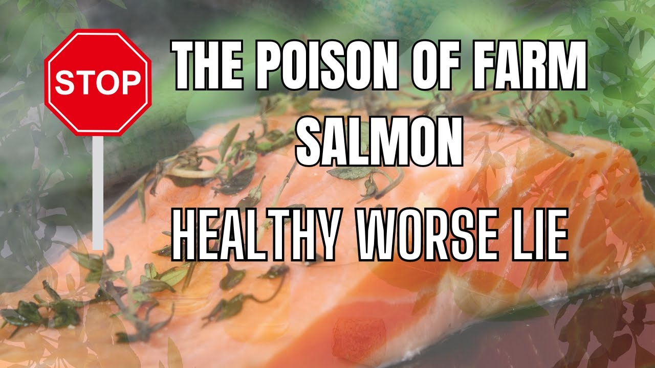 "Danger Lurks: The Health Hazards of Farm Salmon" STOP BUYING POISON ...