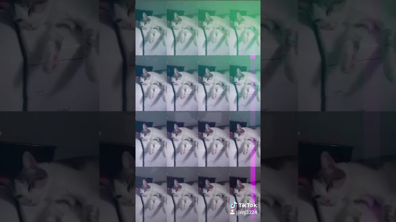 Chat dance - YouTube