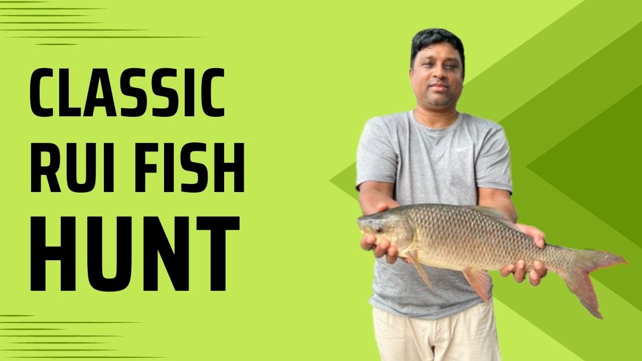 The Untold Story of fish Classic Rui fish Hunt. - YouTube