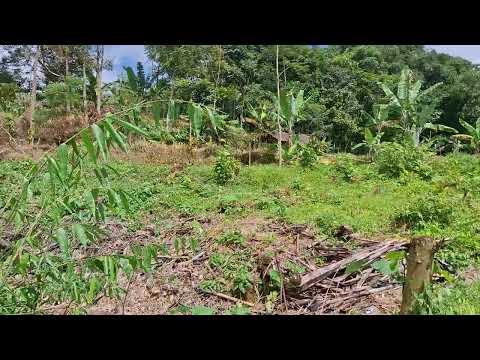 #di jual lahan murah luas tanah 1400 mer ss AJB