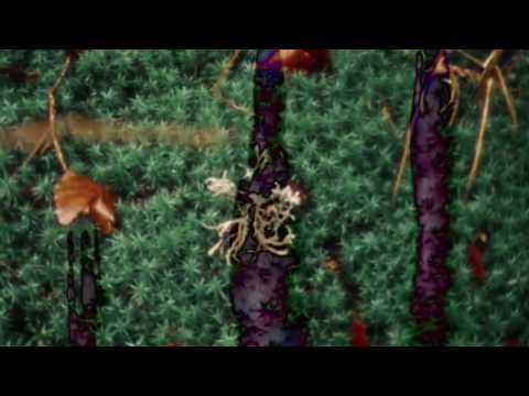 Daniel Kahn & The Painted Bird - \