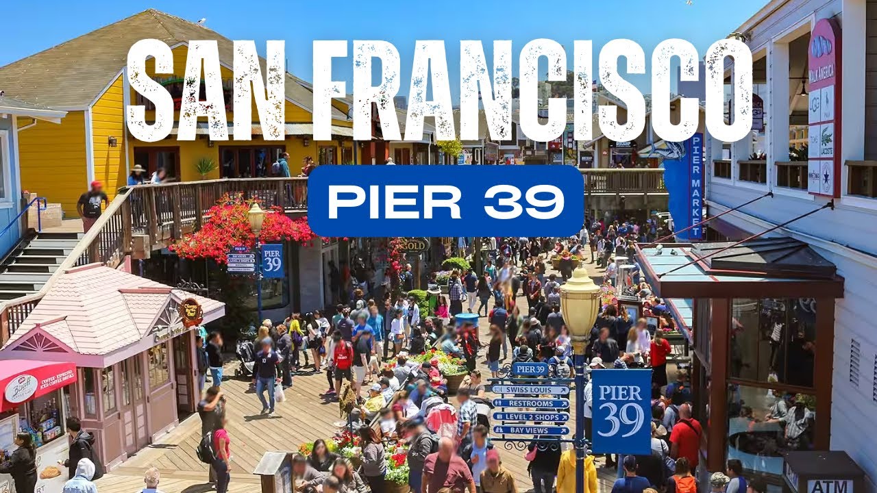 Experience the beauty of pier 39- San Francisco June 2023 - YouTube