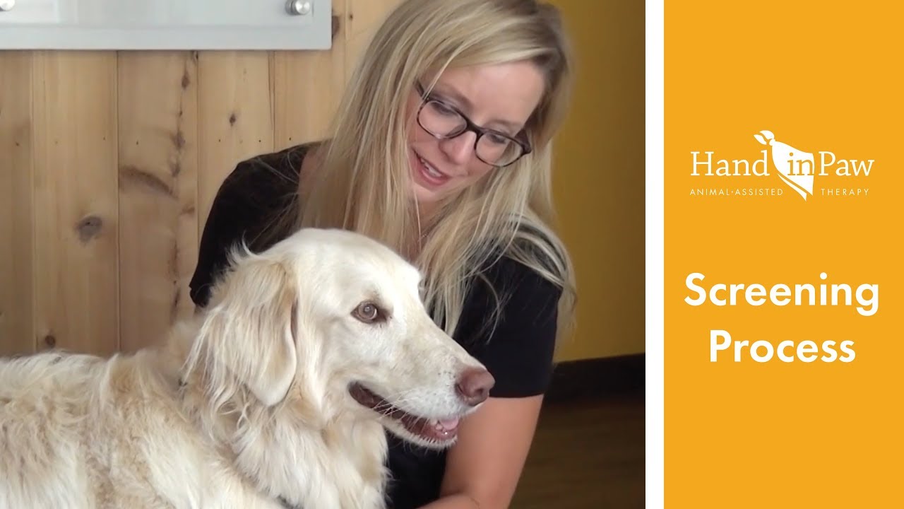 Hand in Paw Screening Process - YouTube