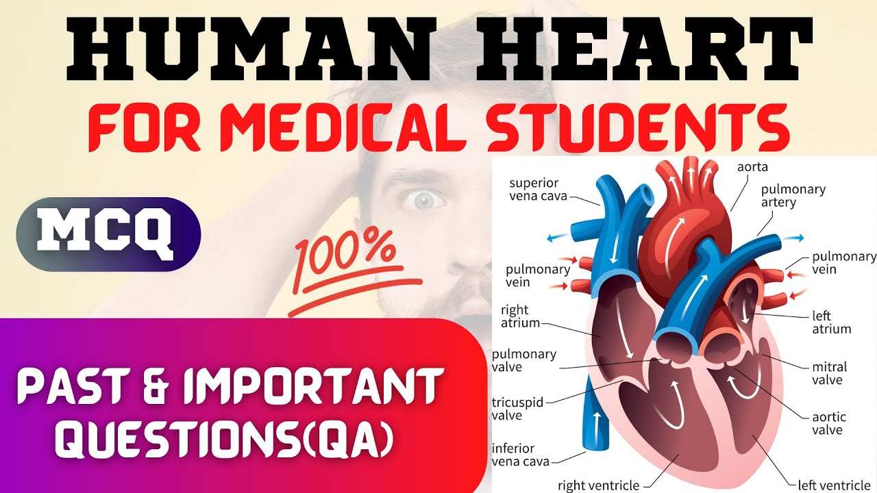 Circulatory System MCQs || Important & Past MCQ 😱🔥 || Common Entrance ...