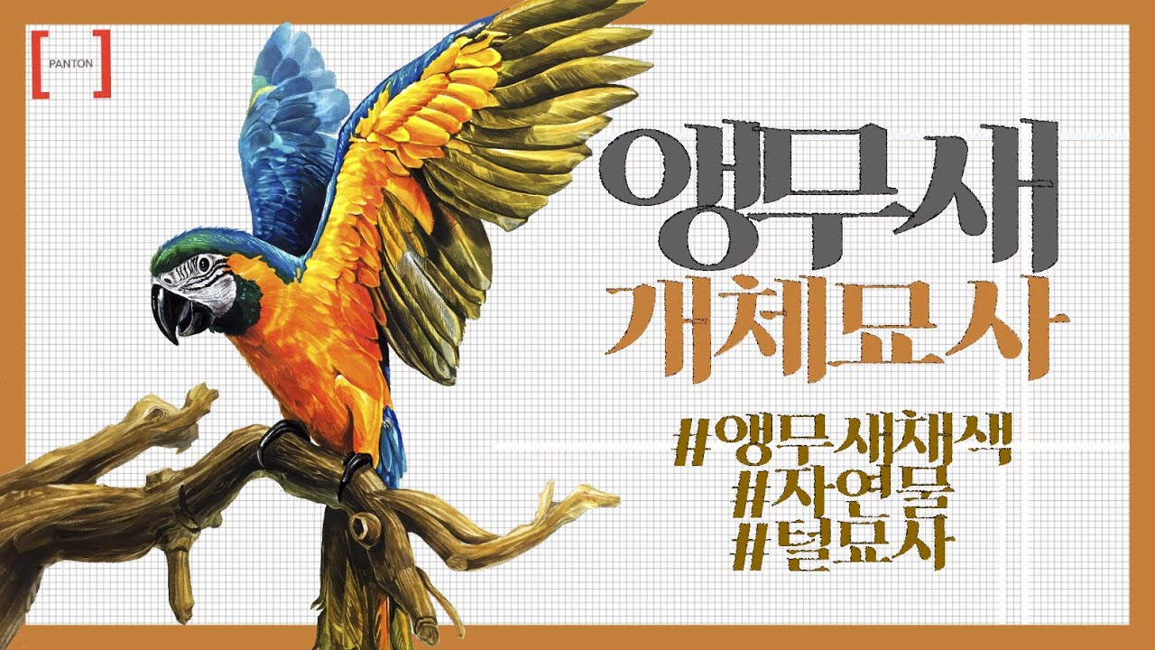 도현쌤의 알록달록 앵무새 개체묘사 🐤 자연물의 특징 털 묘사엔 Ooo이 필수 앵무새기초디자인 기초디자인채색 새그리기 펜톤미술학원 Youtube
