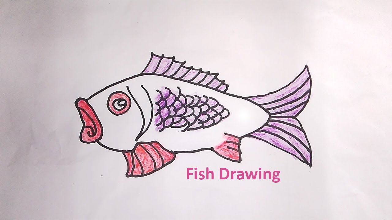 How to draw a fish with color || fish drawing for kids - YouTube