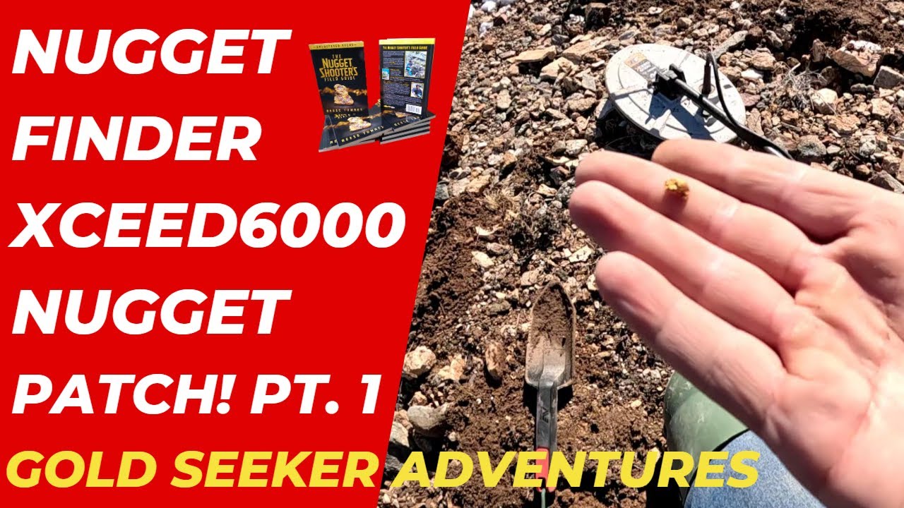 Nugget Finder Xceed6000 Nugget Patch! Pt. 1 - YouTube