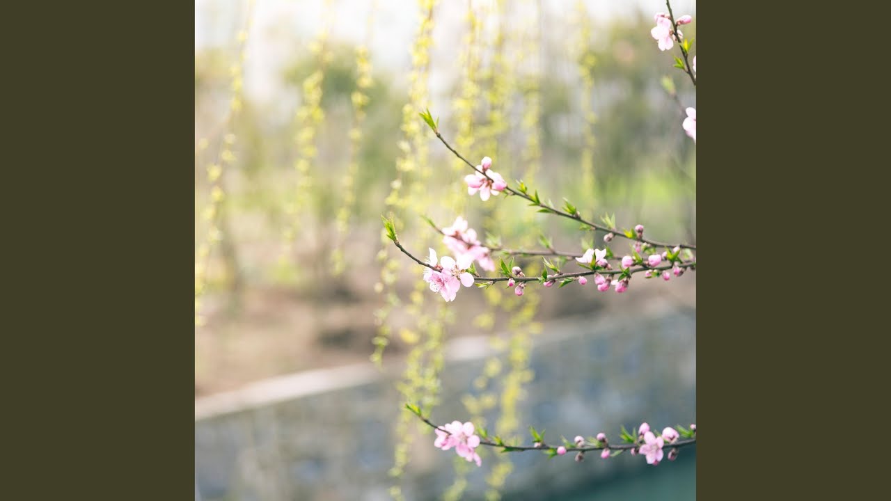 swept away by a soft Spring breeze - YouTube