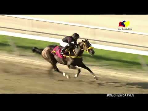11ma. carrera | Money On Time | Hipódromo La Rinconada | Reunión 36 | 2022
