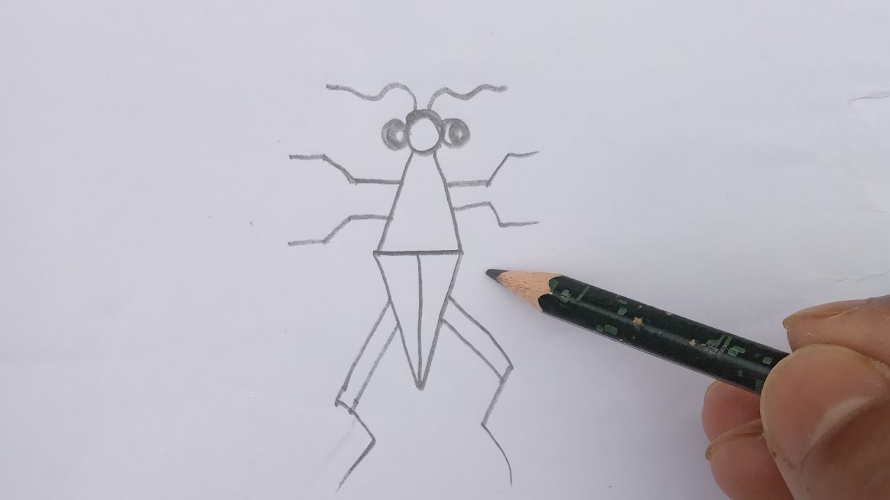 how to draw insect with letter T#drawing insect with letter T - YouTube
