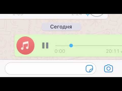 лезги прикол