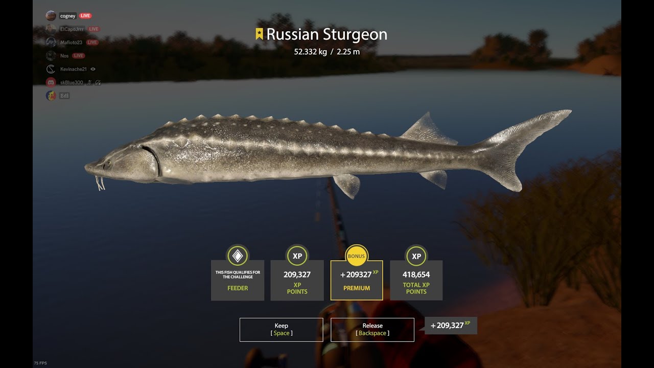Russian Fishing 4 Trophy Russian Sturgeon on tagara - YouTube