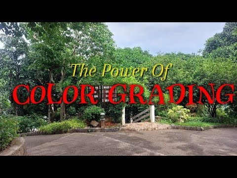 The Magic Of Color Grading l🎬 Batangas - YouTube