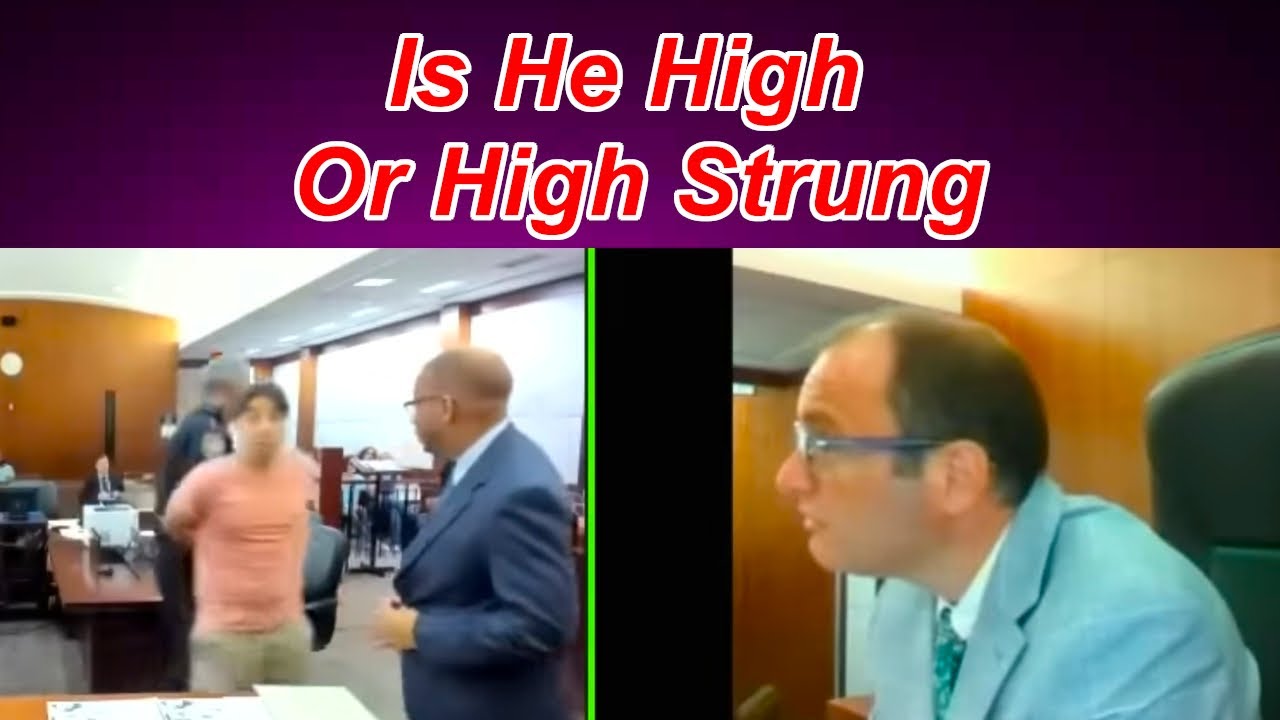 Is This Guy High or Just High Strung?? Judge David Fleischer - YouTube