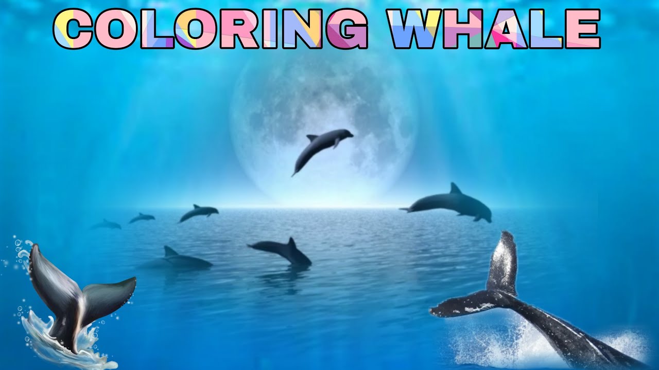 COLORING WHALE || MEWARNAI IKAN PAUS - YouTube