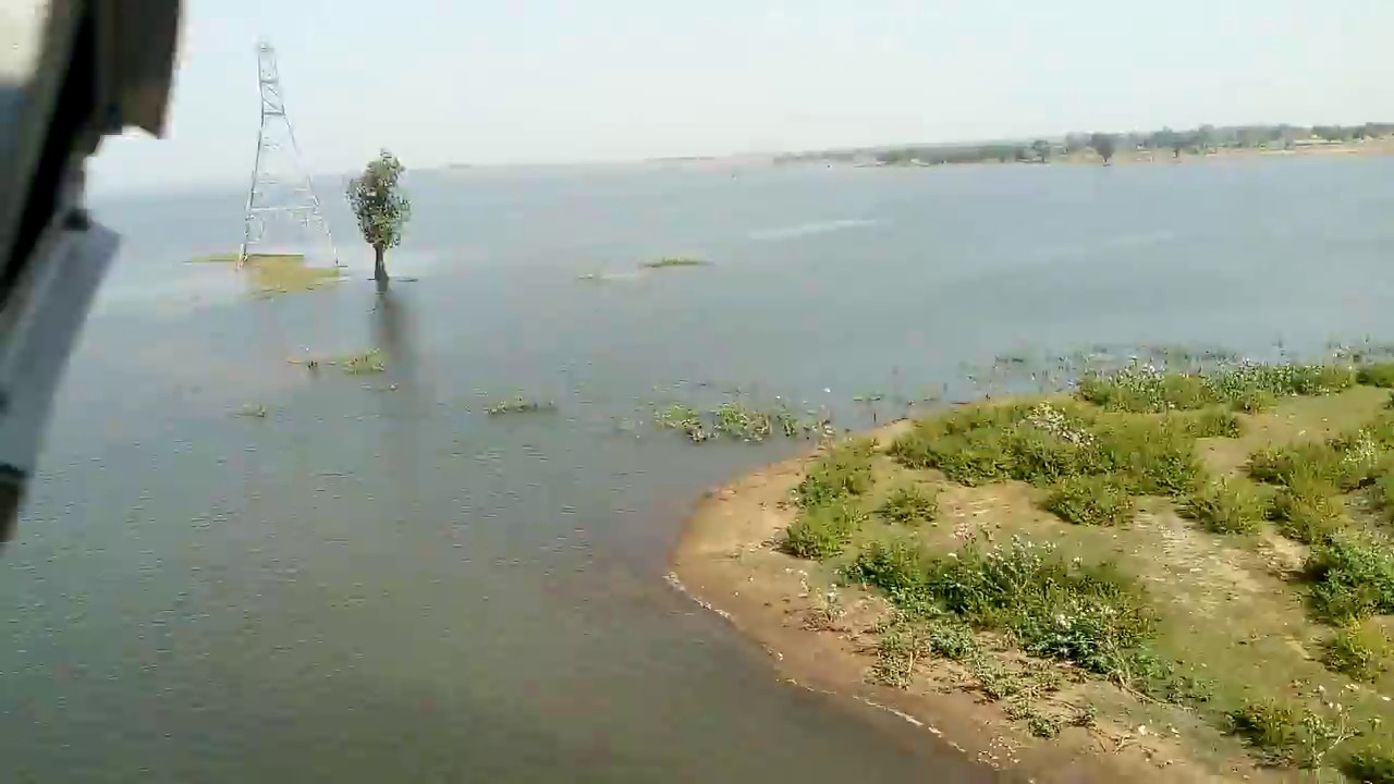 Son river.. Extreme water storage in river by bansagar dam - YouTube