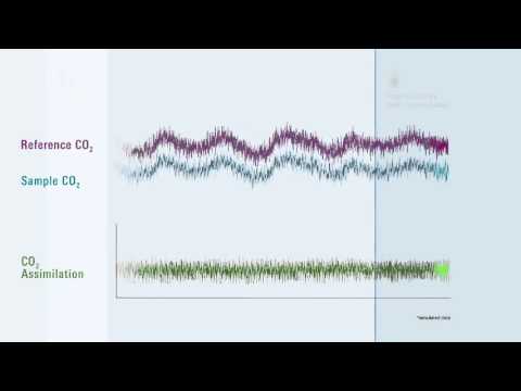 LI-6800 Portable Photosynthesis System - Designed for Precision - YouTube