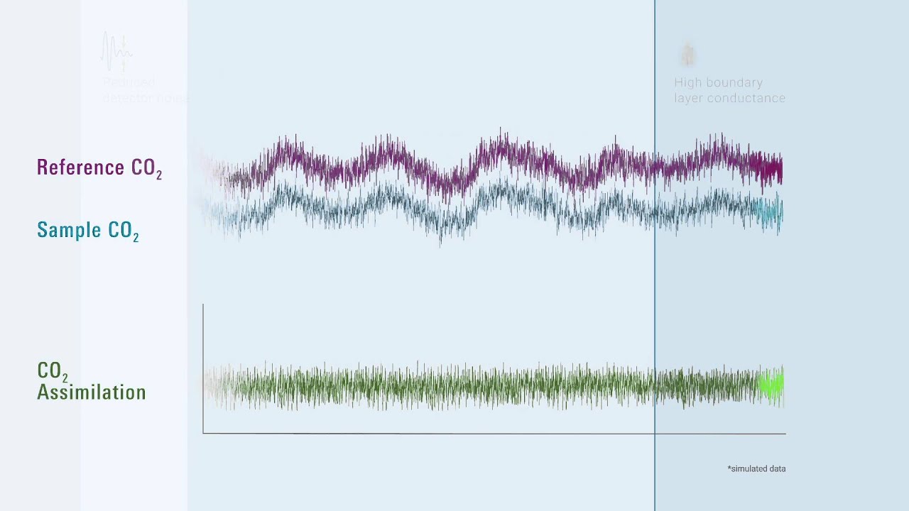 LI-6800 Portable Photosynthesis System - Designed for Precision - YouTube