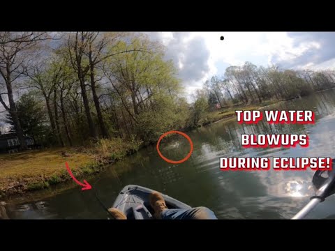 TOP WATER BLOWUPS DURING SOLAR EXCLIPSE (BASS TOPWATER) - YouTube