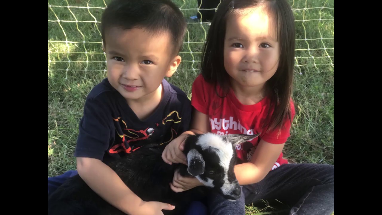Story Time with Goats @Major Hillard Library 9/ 26/ 19 - YouTube