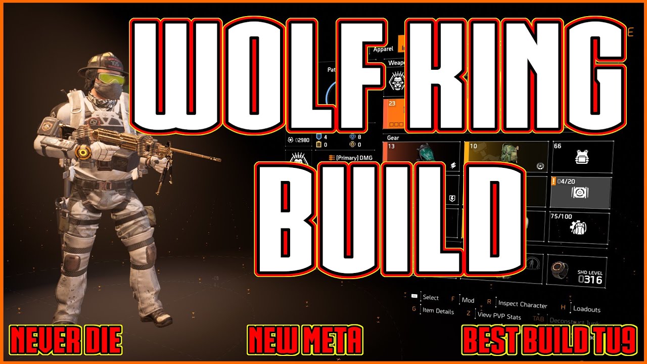 The Division 2 | The Wolf King Build | Insane Damage Tank Hybrid | My ...