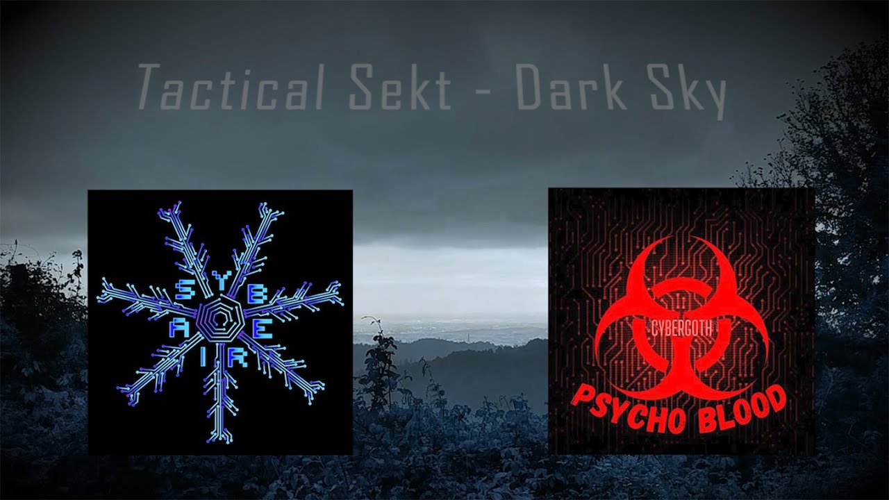 SYBERIA & PSYCHO BLOOD INDUSTRIAL DANCE [Tactical Sekt - Dark Sky ...