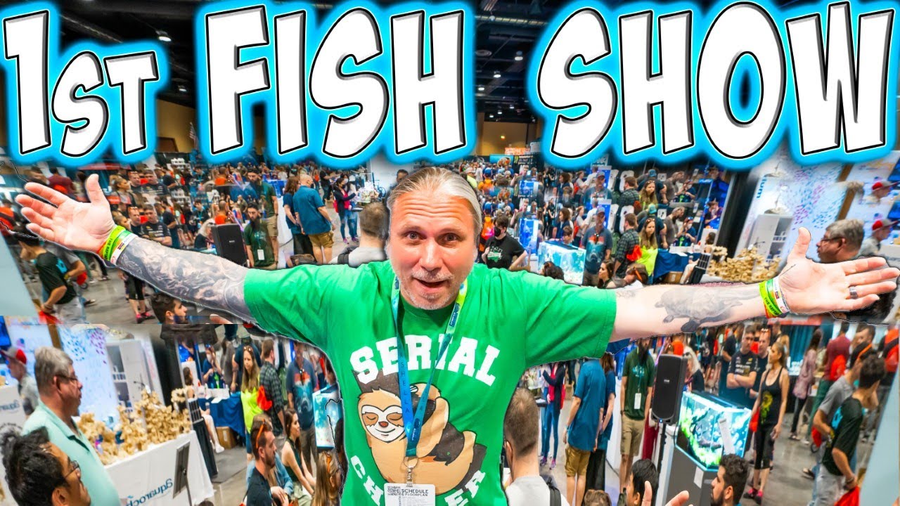 I Went To My First Fish Show Ever! - YouTube