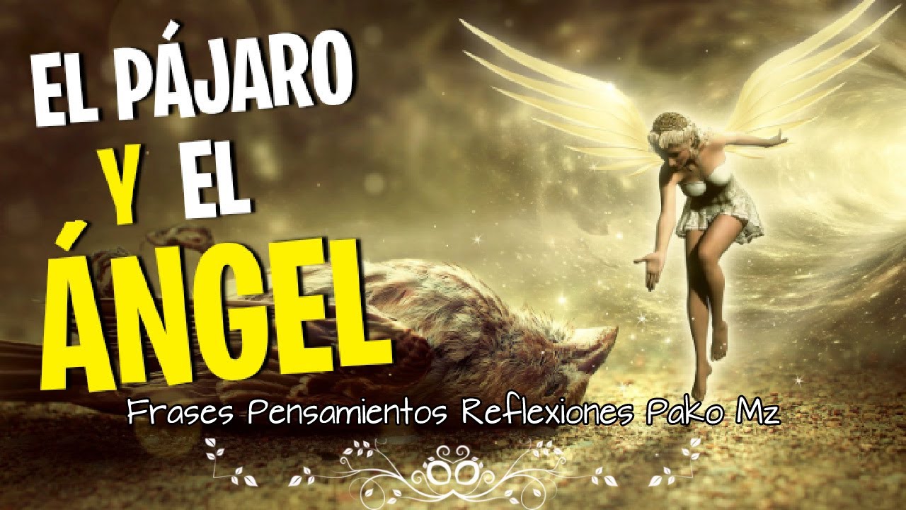 El Pájaro Y El Ángel | Frases Pensamientos Y Reflexiones Pako Mz #46 ...