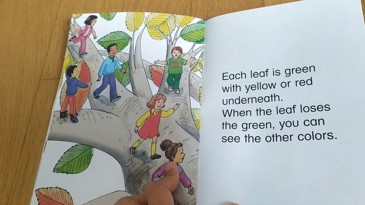 the magic school bus falls with the leaves - YouTube