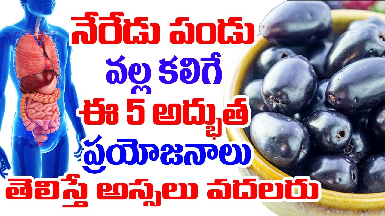 నేరేడు పండు వల్ల ప్రయోజనాలు|Jamun Fruit Health Benefits|Benefits with ...