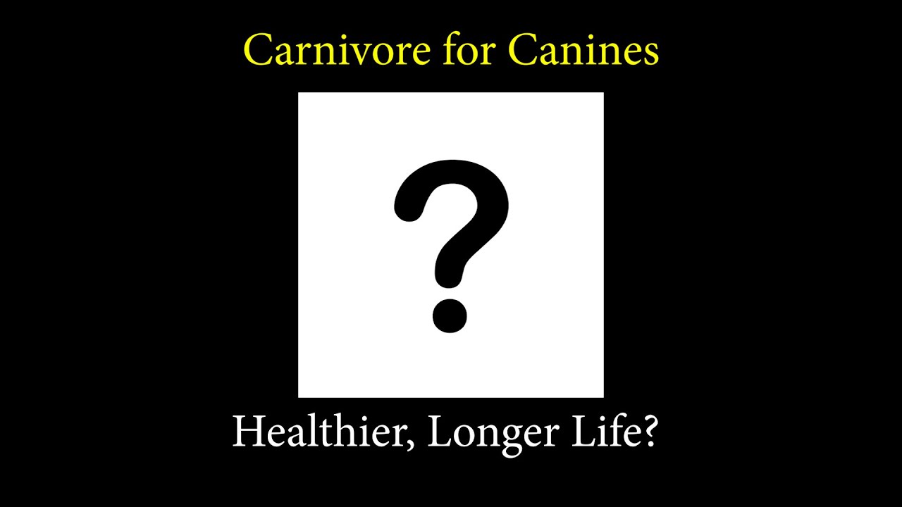 Carnivore for Canines - Dogs CAN Thrive! - YouTube