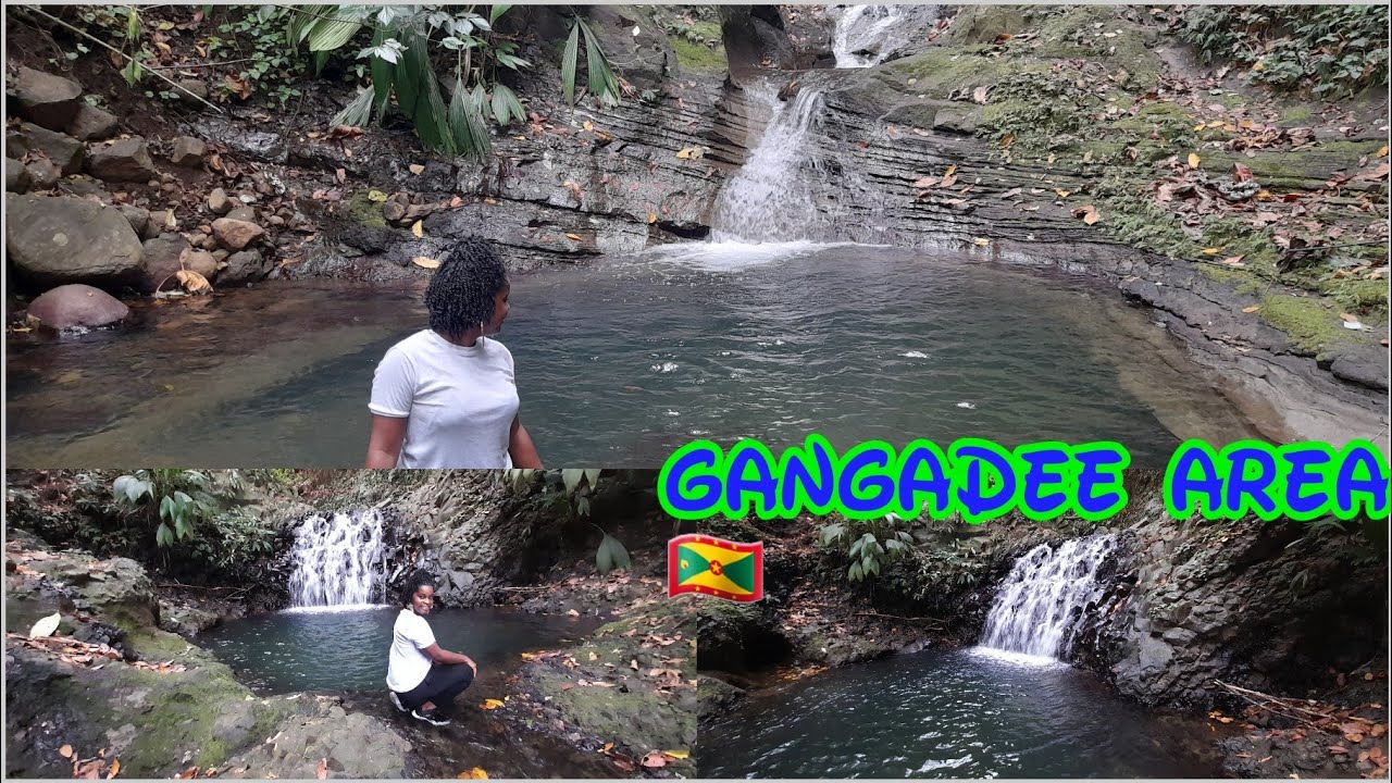 Exploring Gangadee Area Grenada 😍 ( Above Adelphi Waterfall Grenada ...