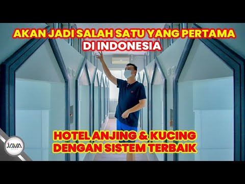 GROOMING PETS KEREN DENGAN SISTEM TERBAIK | JAVA PETCO TANGERANG - YouTube