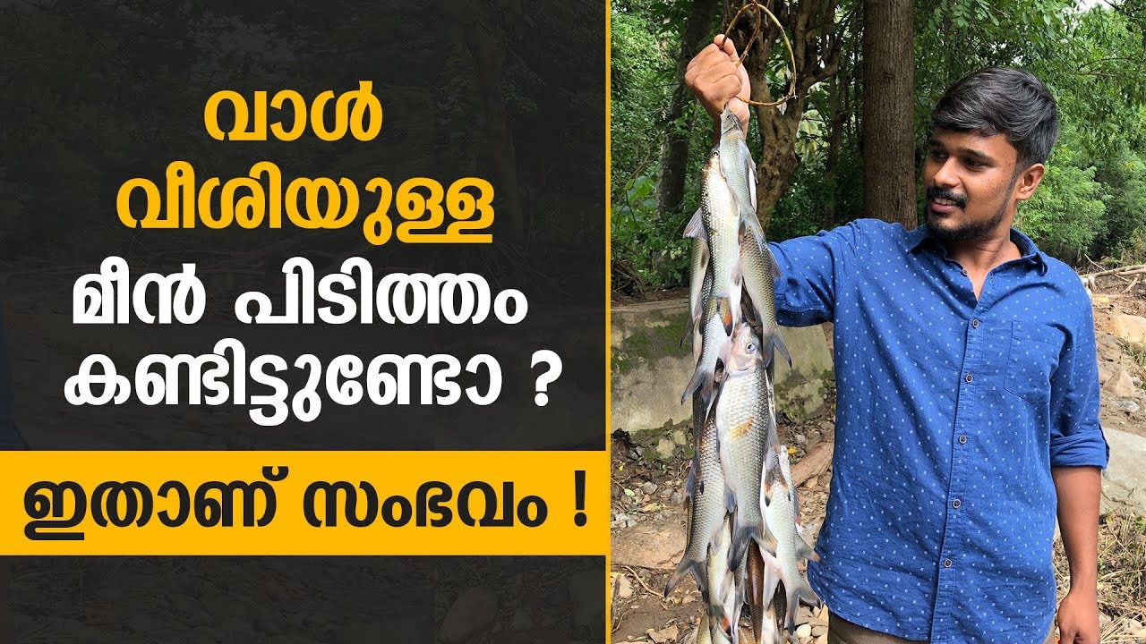 Fishing With Sword | വാൾ വീശിയുള്ള മീൻ പിടിത്തം കണ്ടിട്ടുണ്ടോ ...