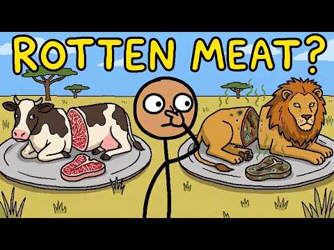 Why Do We Never Eat Predator Meat?