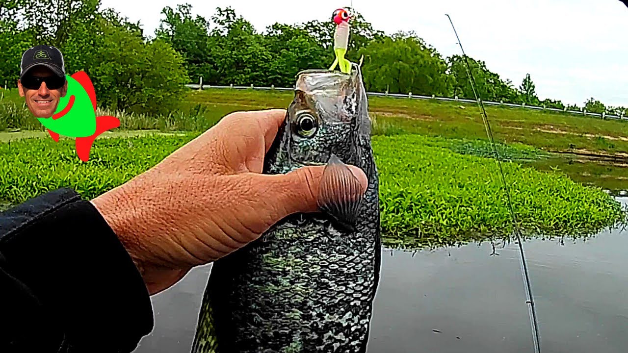 CATCHING SPAWNING CRAPPIE IN SHALLOW VEGETATION - YouTube