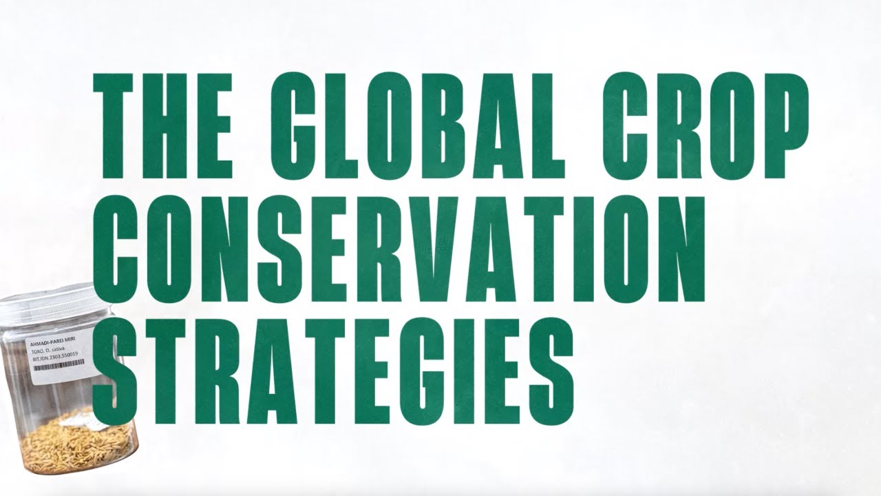 Global Crop Conservation Strategies: Working Together to Protect Crop ...