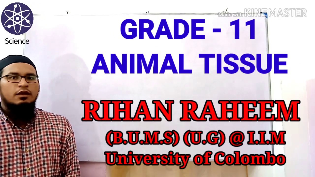 Animal Tissue ( Part 1) | GRADE 11 | UNIT 1 - YouTube