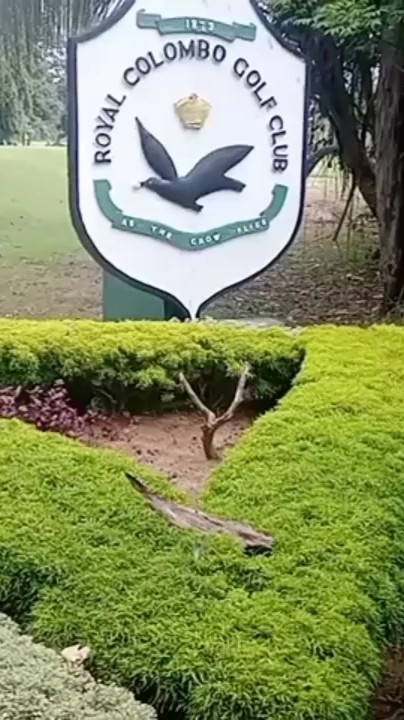 Golf Ground Colombo මෙහෙමත් ගැහිල්ලක් දිගටම untold journeys with thilak ...