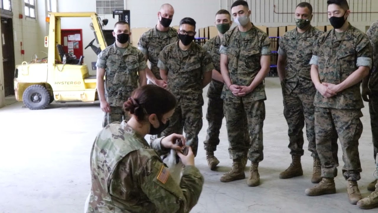 K9 Diesel - The Trauma Canine Medical Trainer - YouTube