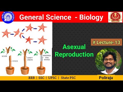 Asexual Reproduction | RRB General science | Biology | Lecture-13 ...