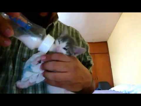 Bebecín tomando leche, muy chiflado. - YouTube